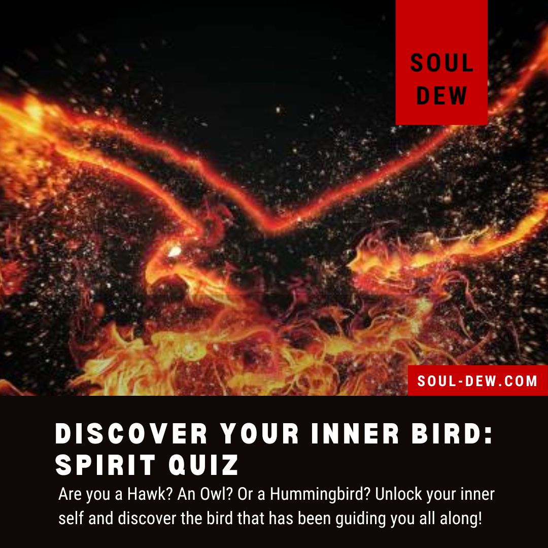 Articles - Souldew